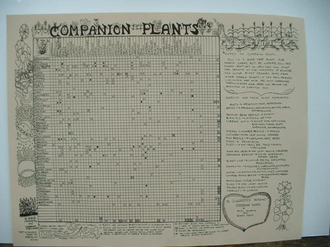 Companion Planting Chart: Botanical Garden Art Poster - Etsy