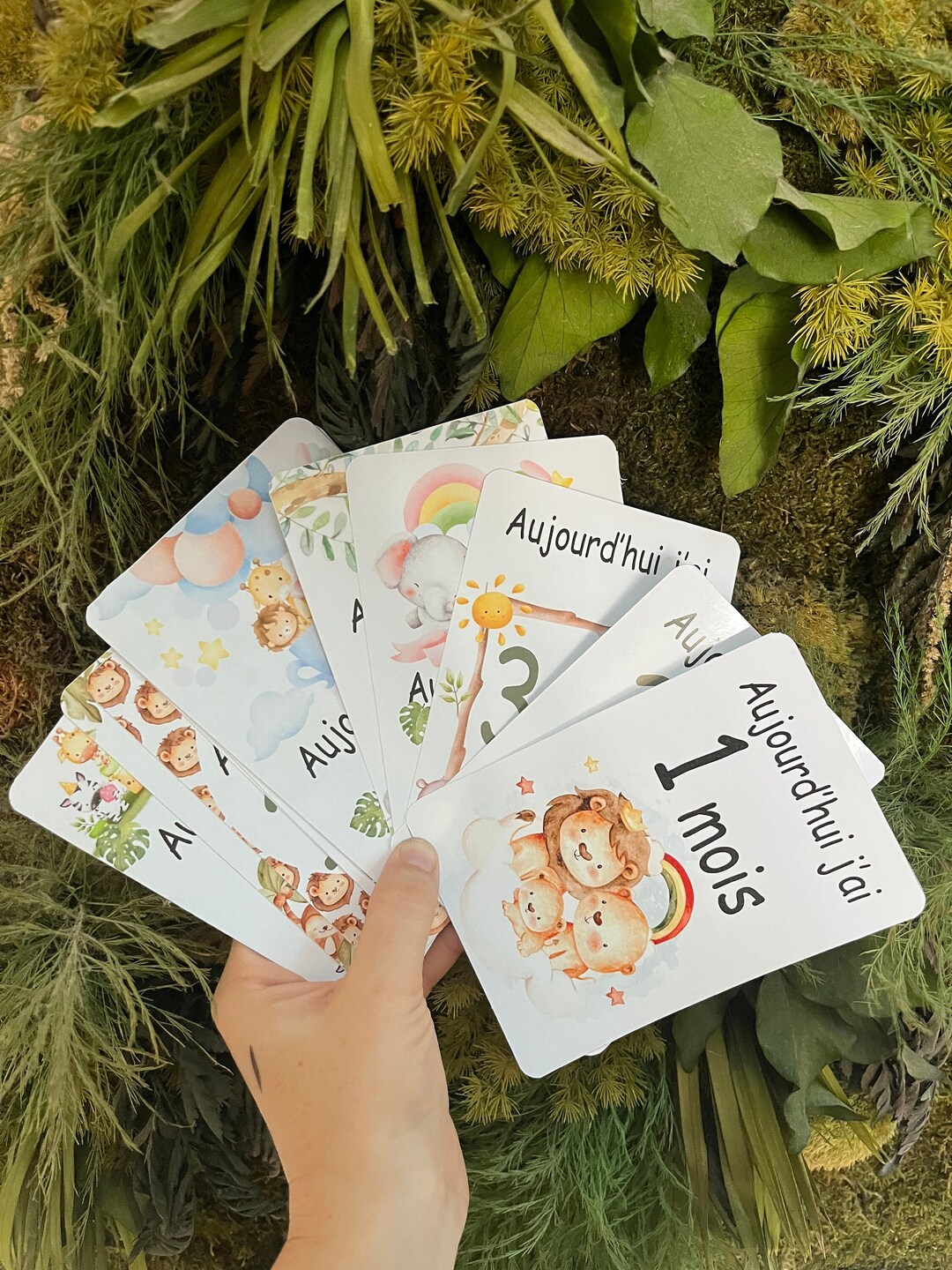 BIRTH CARDS Lion Stages / Jungle / SAFARI / Baby Souvenirs / Birth 12 ...