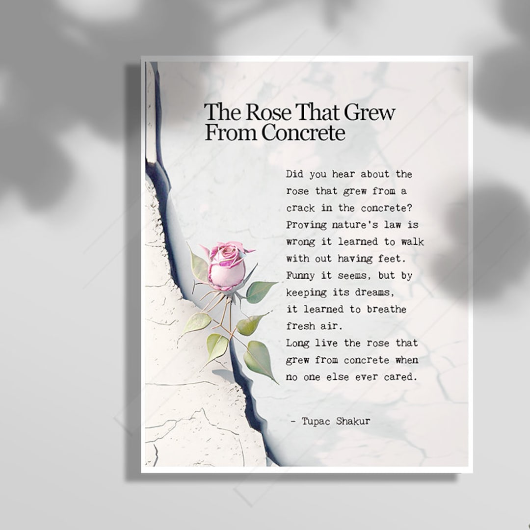The Rose That Grew From Concrete Poem Art Print long Live the Rose That ...