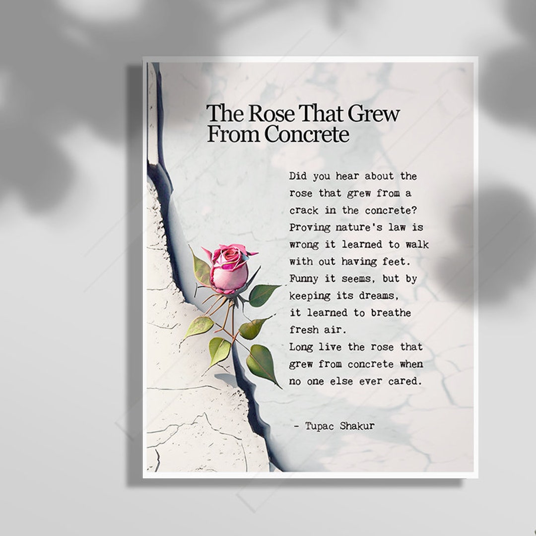 The Rose That Grew From Concrete Poem Art Print -long Live the Rose ...