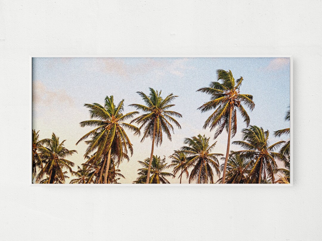 Large Vintage Style Palm Tree Panoramic Picture, Beach Photography ...