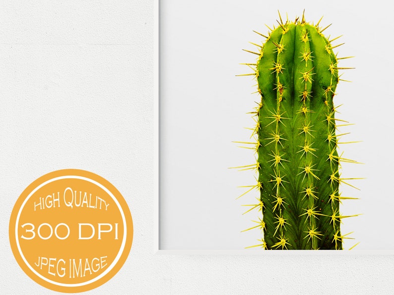Retro Pop Art Set of 4 Cactus Prints Vintage Cactus Plant - Etsy