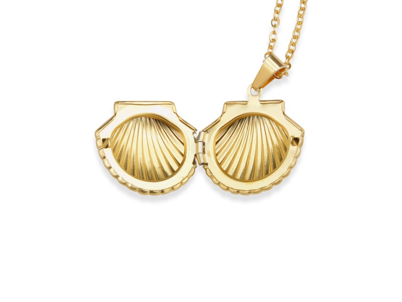 Premium High Finished Seashell Locket Seashell Necklace - Etsy