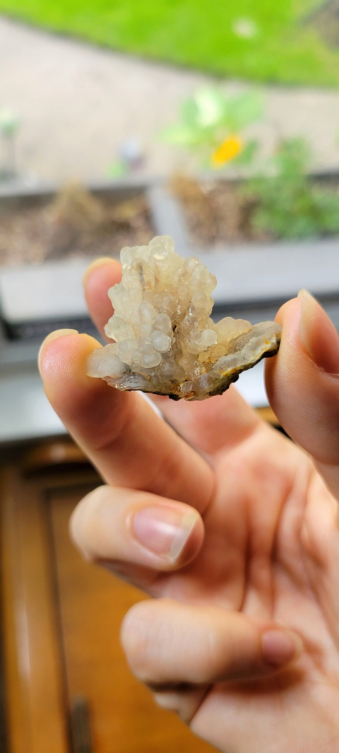 Bubble Chalcedony Stalagmite - Etsy