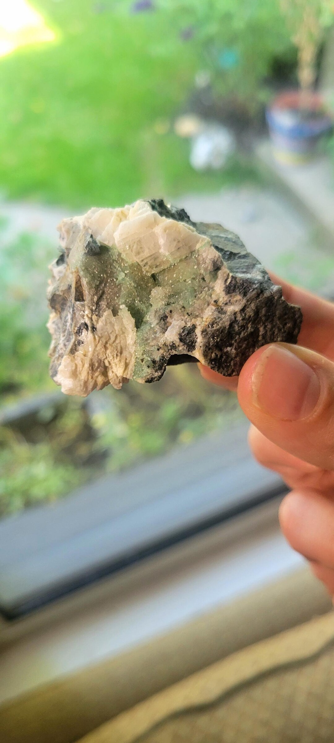 Smithsonite X Barite X Galena × Azurite on Petrified Wood- Silverton ...