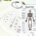 A4 Anatomy Posters - Etsy