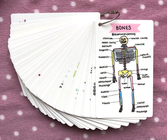 Complete Set of Nursing Flashcards - Etsy