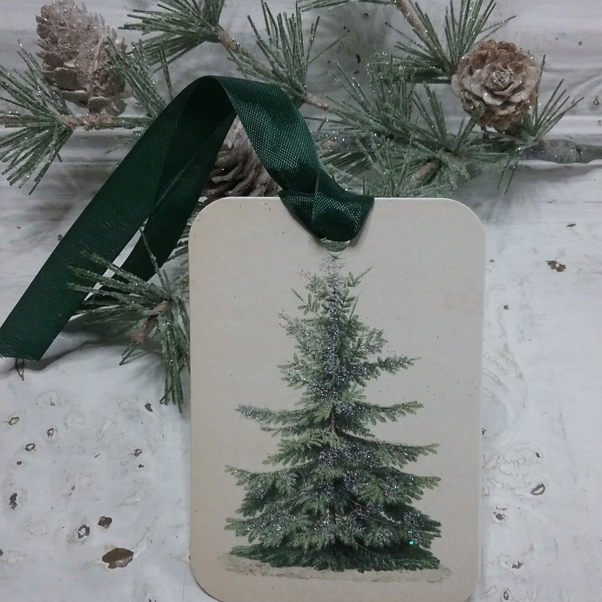 Vintage Botanical Christmas Tree Gift Tags: Nordmann Fir, Set of Four ...