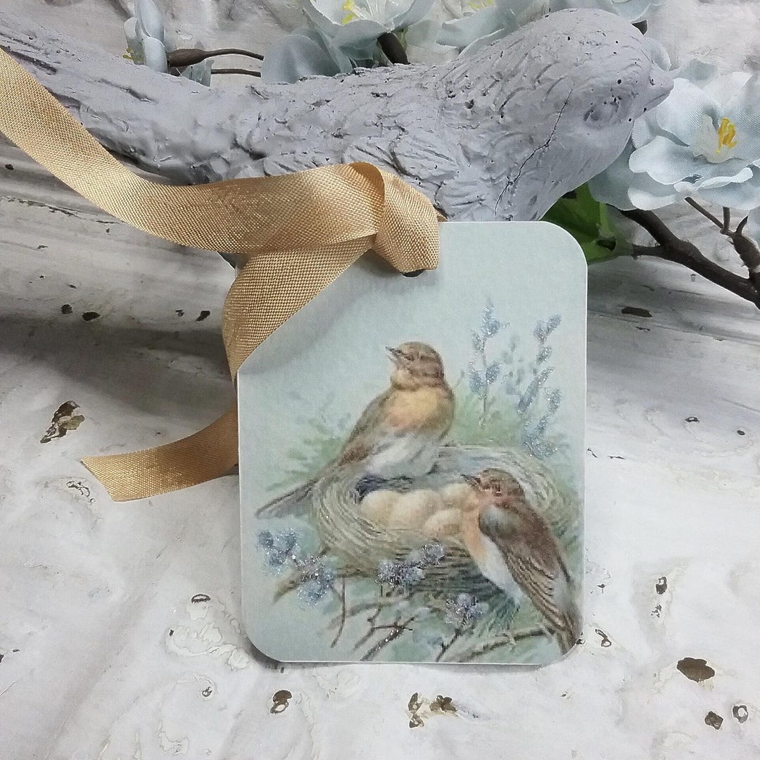 Glittered Bird Nest Gift Tags, Shabby Chic Style, Set of 4 - Etsy