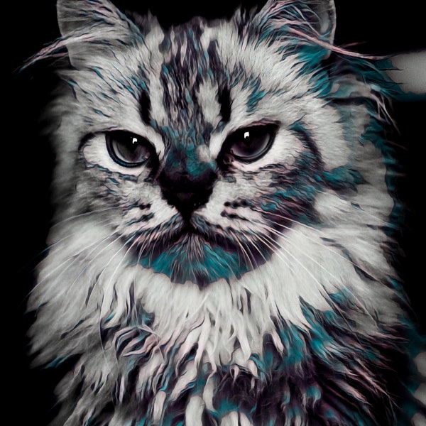 Angry Cat Art - Etsy