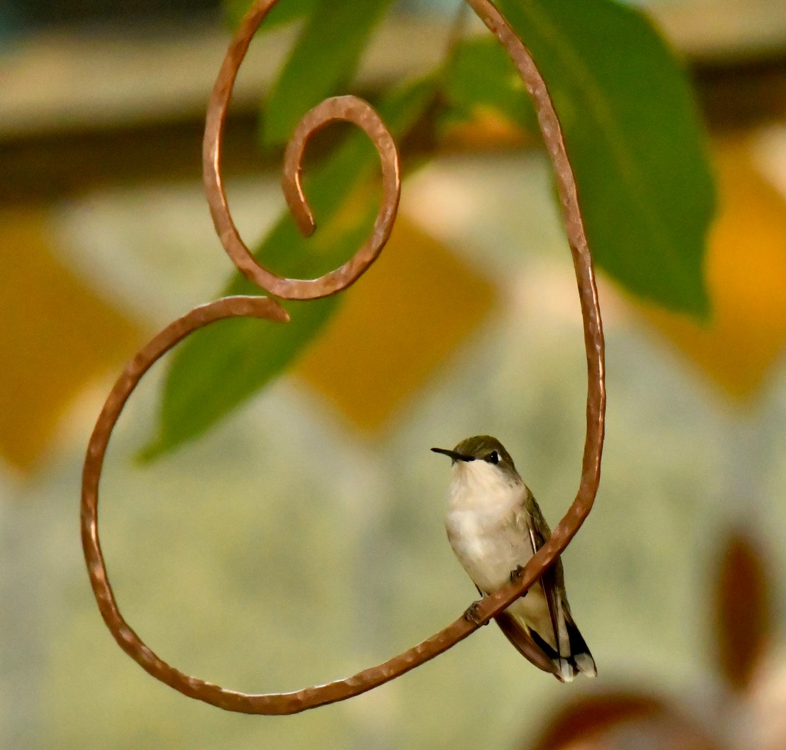 Shape of My Heart Hummingbird Perch Hammered Copper - Etsy