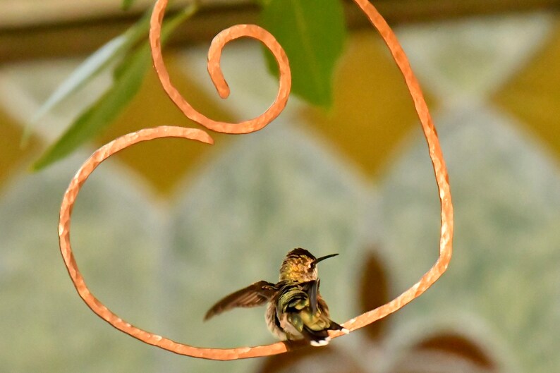 Shape of My Heart Hummingbird Perch Hammered Copper - Etsy