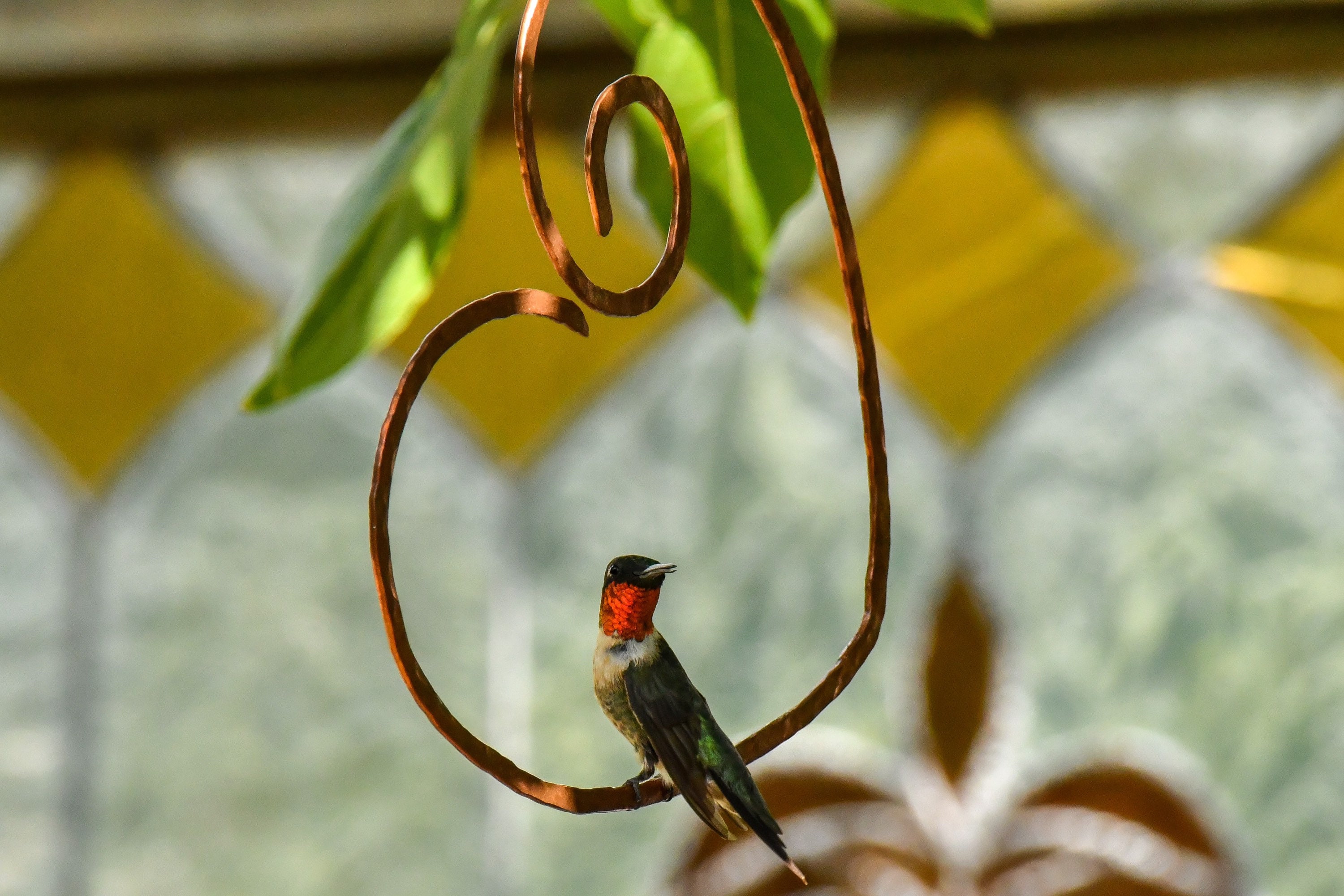Shape of My Heart Hummingbird Perch Hammered Copper - Etsy