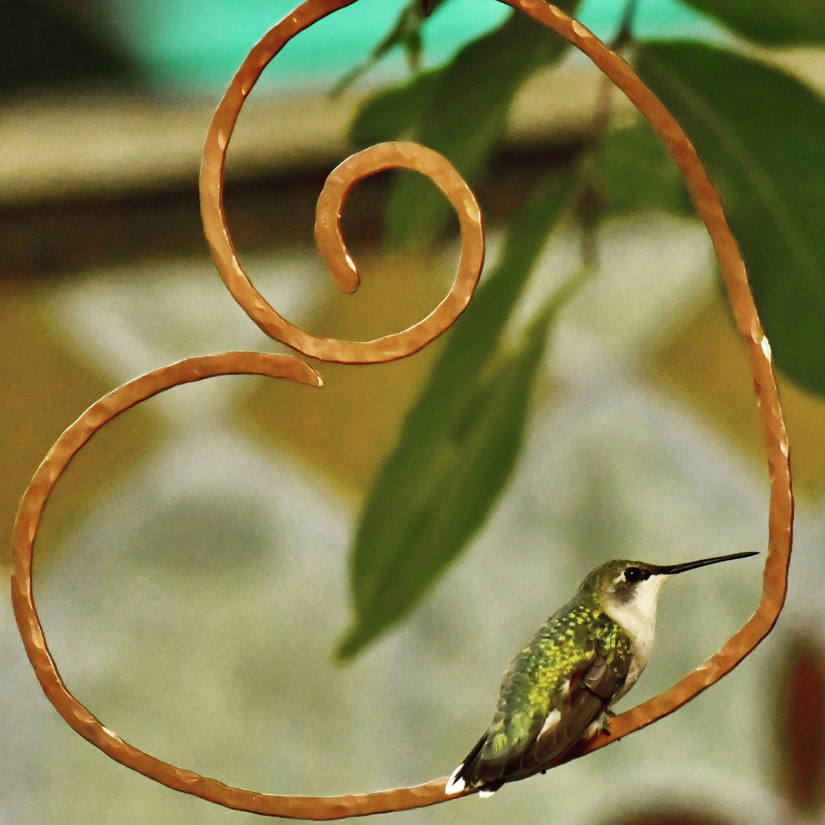 Shape of My Heart Hummingbird Perch Hammered Copper - Etsy