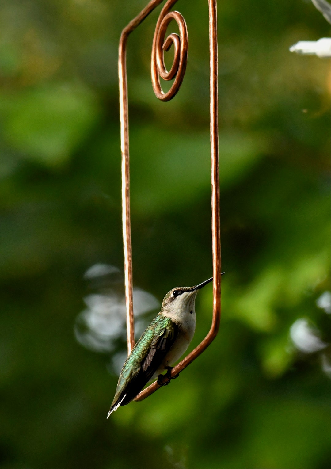 Handmade Copper Hummingbird Perch: Journeys Garden Decor With S Hook - Etsy