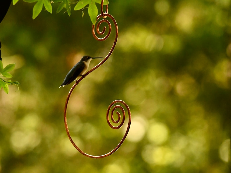 Cygnus Copper Hummingbird Perch - Etsy
