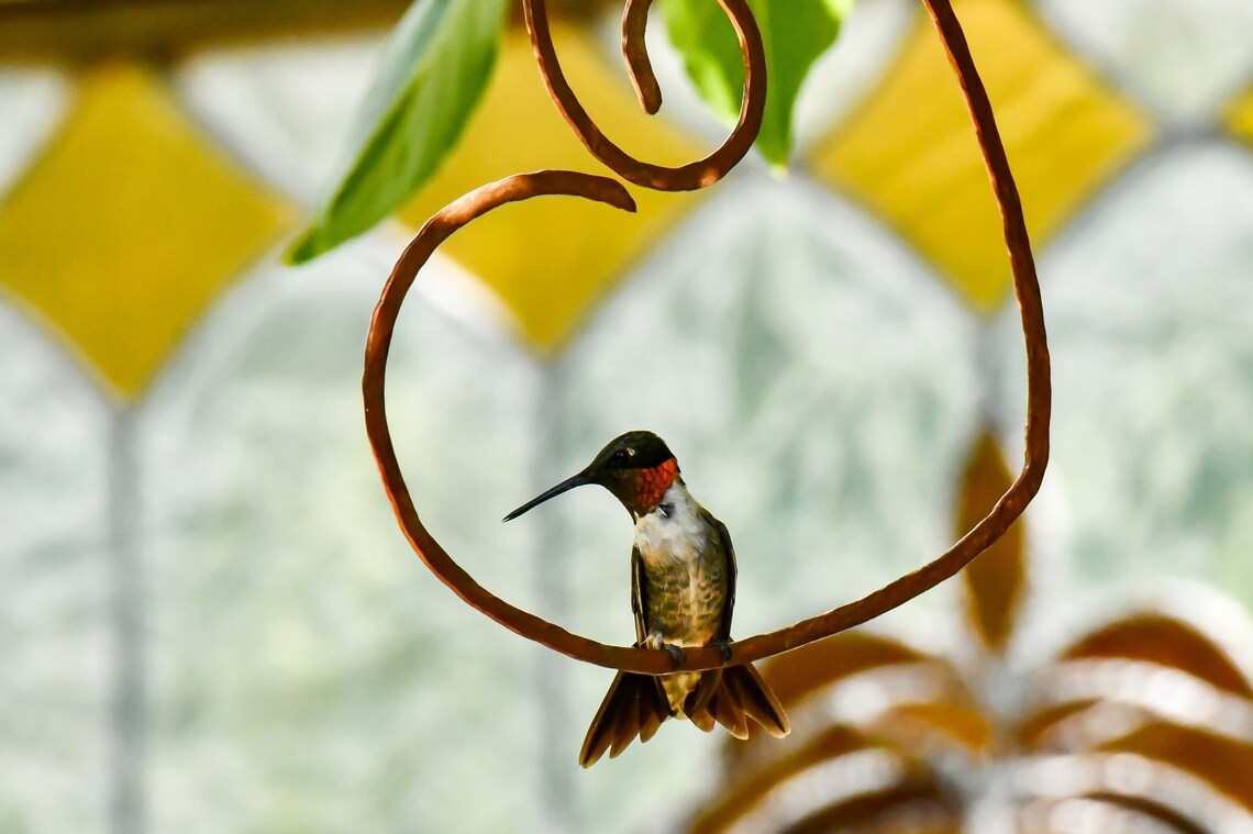 Shape of My Heart Hummingbird Perch Hammered Copper - Etsy