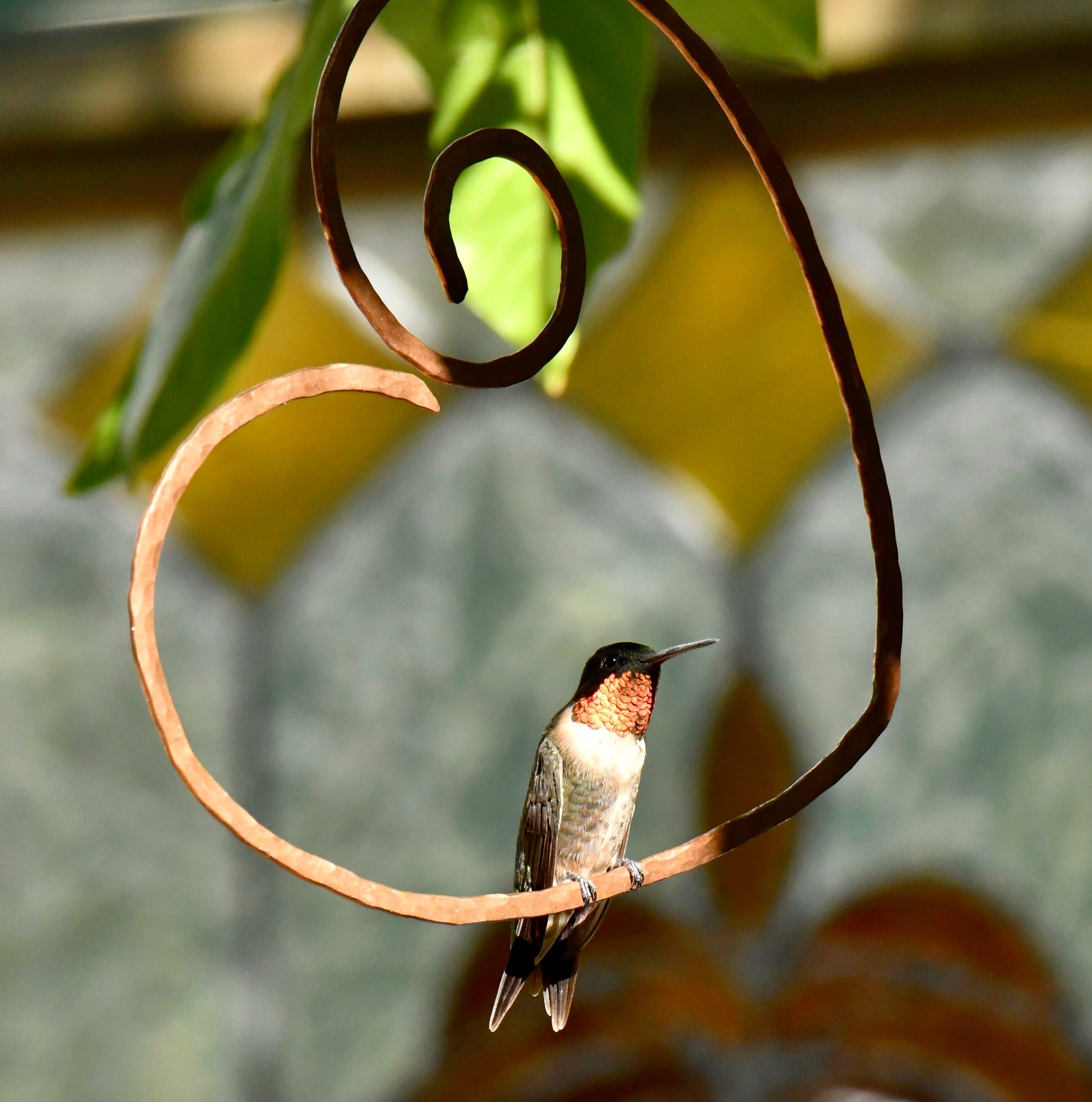 Shape of My Heart Hummingbird Perch Hammered Copper - Etsy