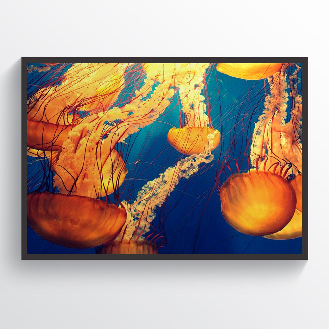 Jellyfish Poster Deep Ocean Poster Jellyfish Wall Art Photo | Etsy