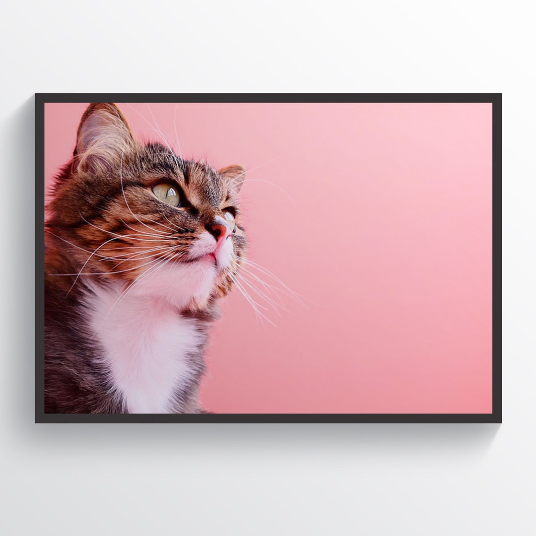 Cute Cat Poster, Minimalist Cat Print, Pets Wall Art, Cats Wall Art - Etsy