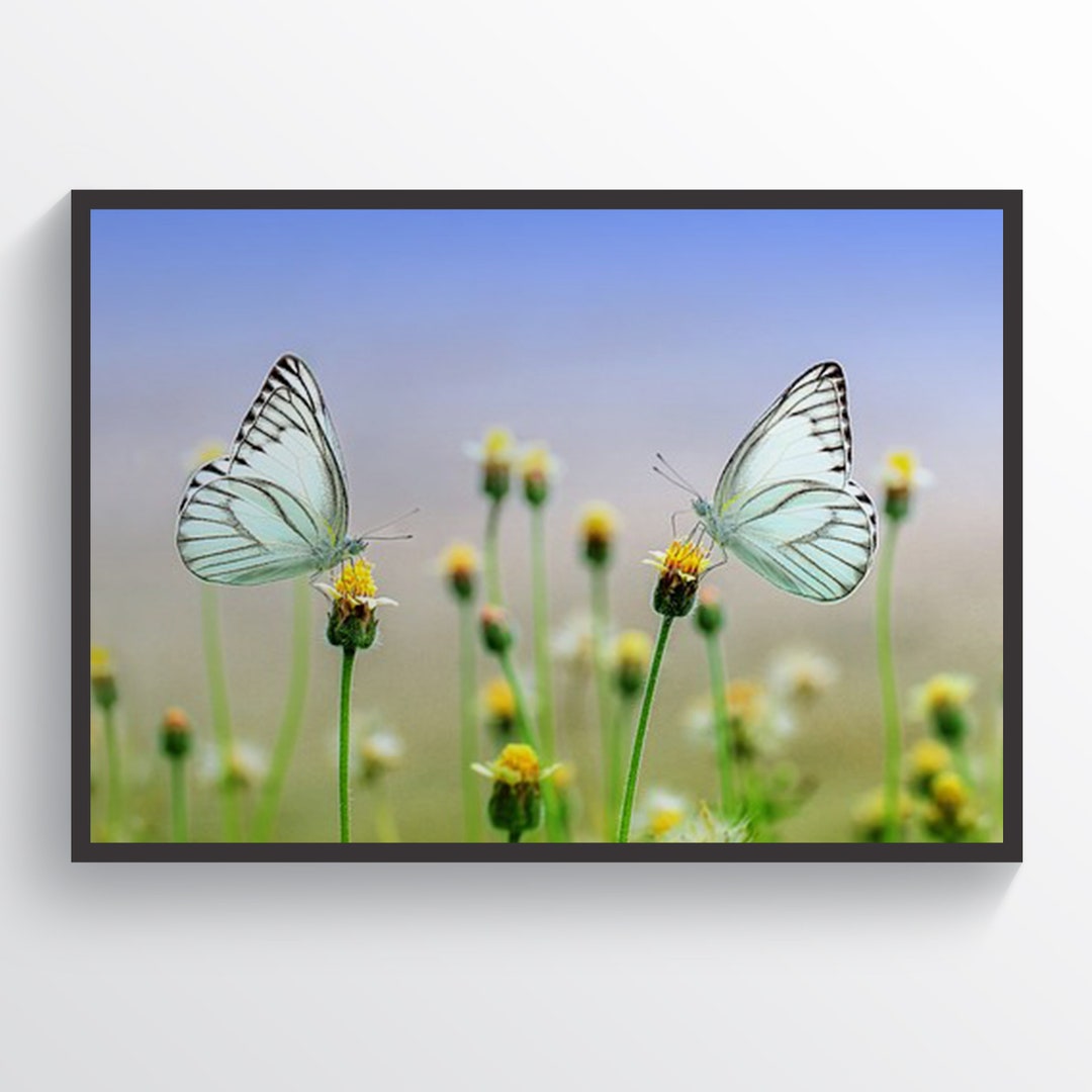 Butterfly Poster Butterfly Print Butterfly Wall Art Children Room Decor ...