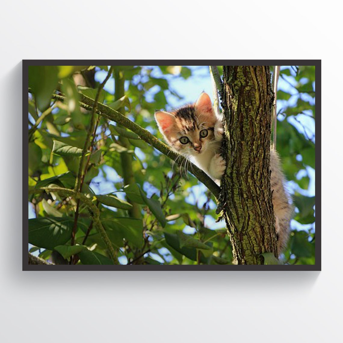 Cute Kitten Poster Cat Print Children Room Decor Cats Wall Art Kids ...