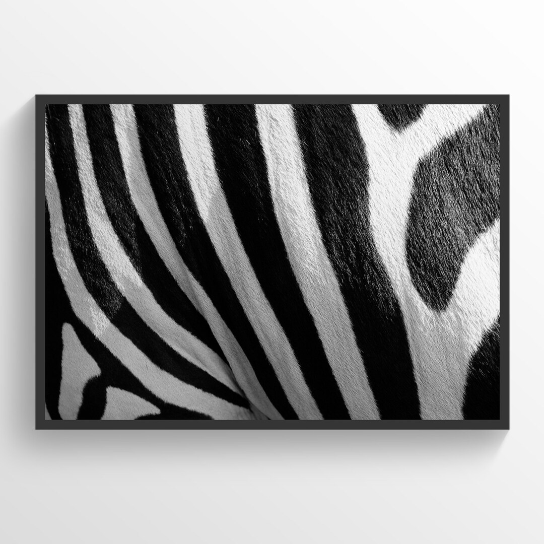 Abstract Zebra Poster, Modern Animals Print, Zebra Wall Art, Zebra ...