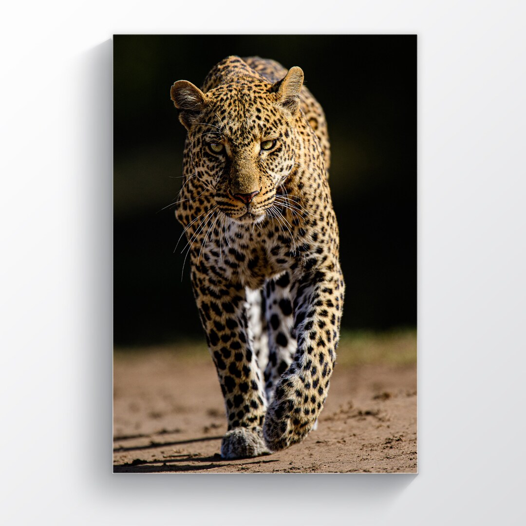 Leopard Poster, Wild Cat Wall Art, Lropard Print - Etsy