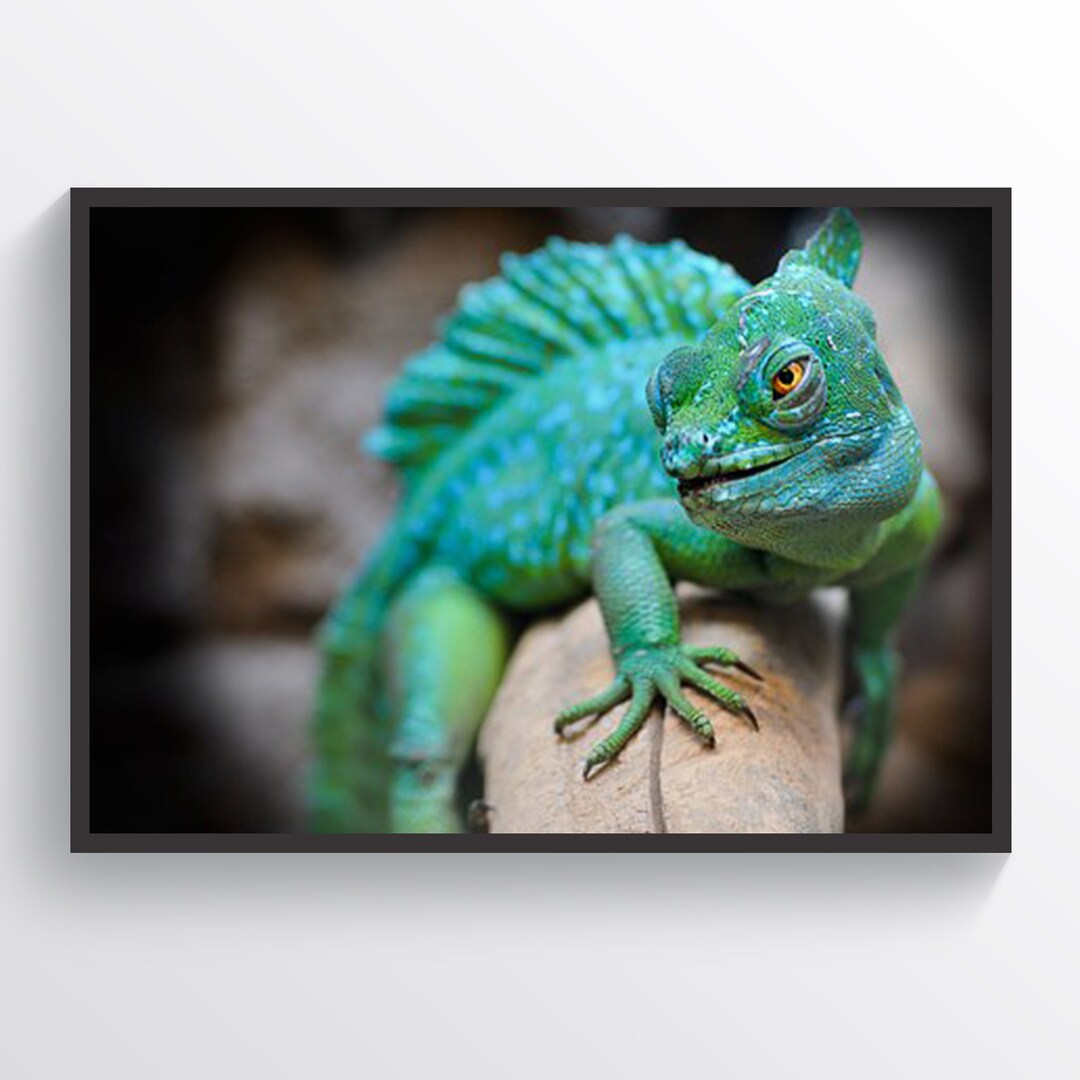 Exotic Lizard Poster, Reptile Print, Exotic Zoology, Lizard Print ...