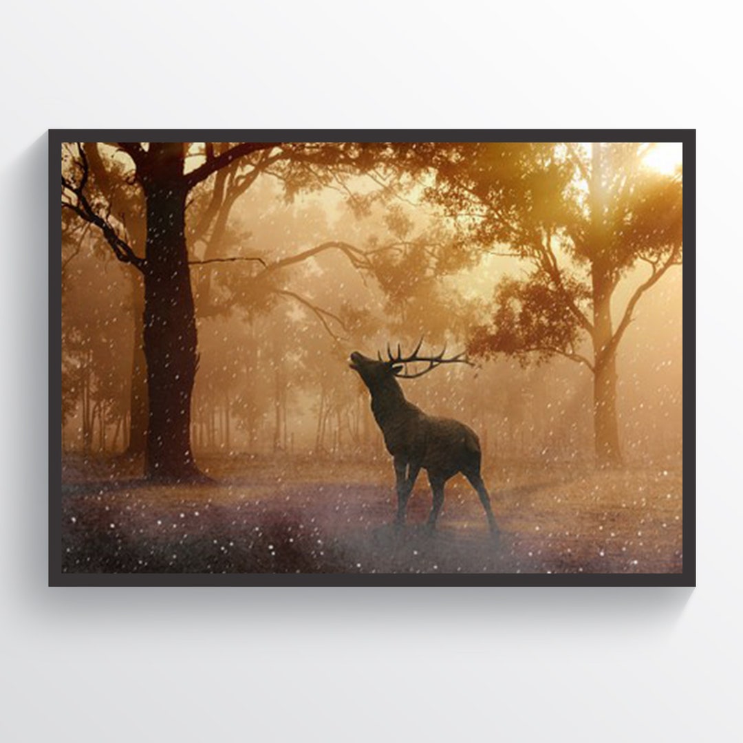 Scenic Moose in the Forest Poster, Moose Print, Moose Photo, Living ...