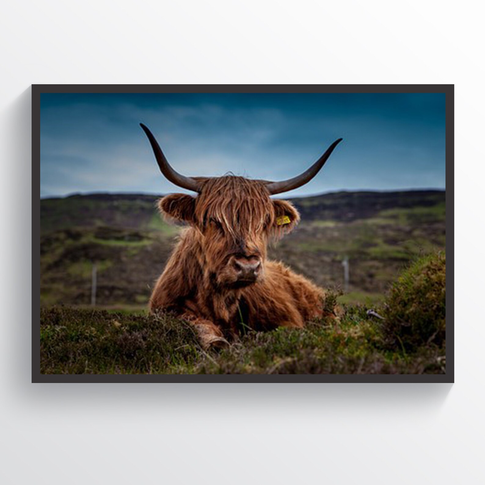 Highland Cow Poster, Modern Wall Decor, Highland Cow Print, Scotland ...