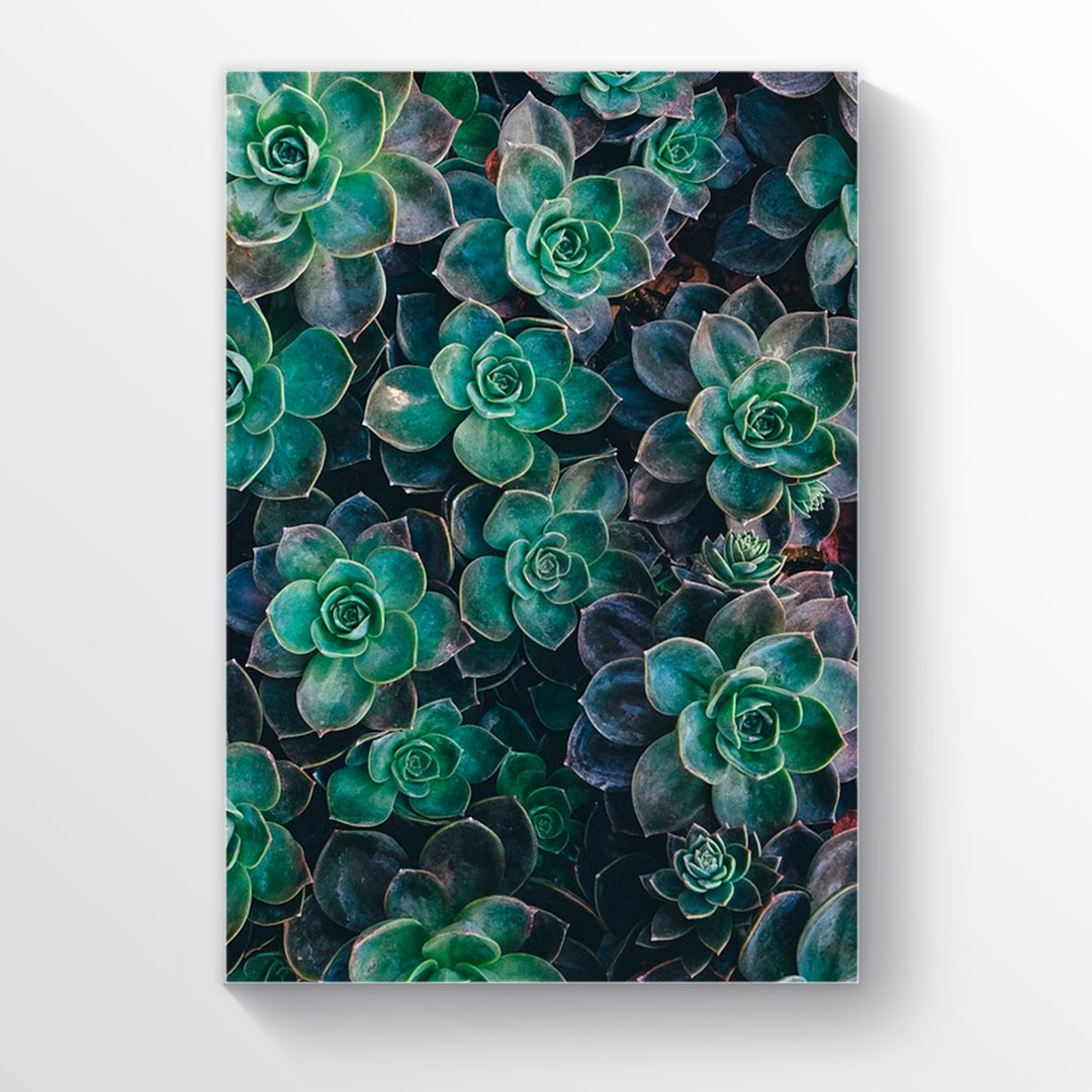 Succulent Poster, Cactus Print , Succulent Plant, Botanical, Green Wall ...