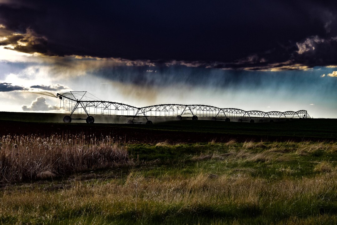 Farming, Farming Photo, Western Slope, Agriculture Photo, Crops, Farm ...