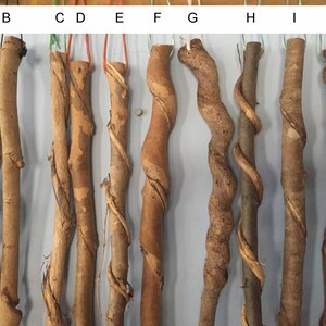 CUSTOM Twisty Cobwebber Brooms - Etsy