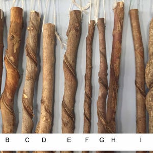 Twisty Stick *UPDATED CUSTOM Full Sized Sweeper. Floor Broom - Etsy