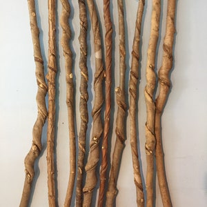 Twisty Stick UPDATED CUSTOM Full Sized Sweeper. Floor Broom - Etsy