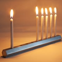 Handmade Enamel-painted Hanukkah Menorah - the Wild Tree Collection ...