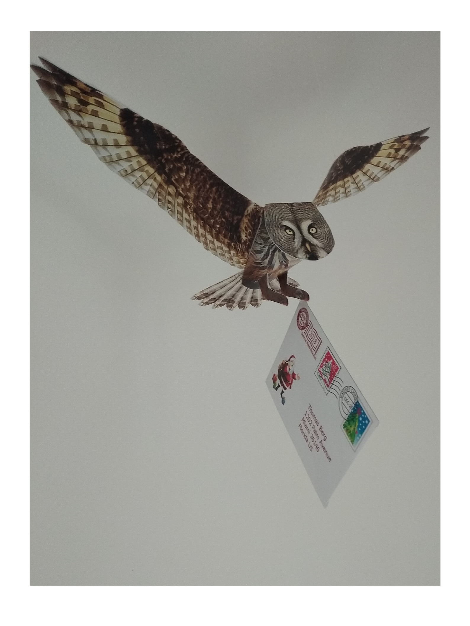 Snowy or Brown Your Very Own Mail Delivery Owl Mobile With, Optional ...