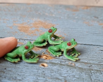 Frog Diorama - Etsy