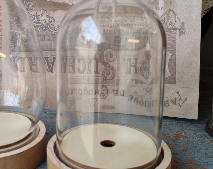 1 EMPTY BELL JAR Miniature Diorama Jar Clear Bell Jar Shadow Box - Etsy