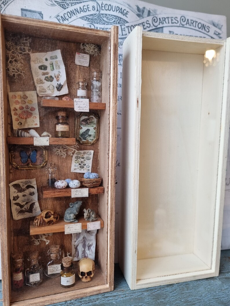 Wooden Display Box Small Shadow box. With a acrylic glass | Etsy