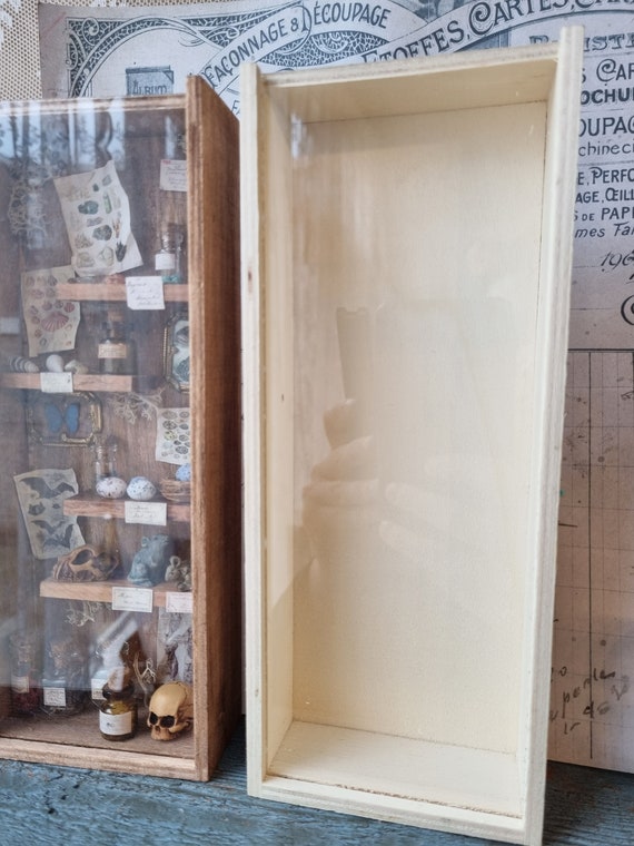 Wooden Display Box Small Shadow box. With a acrylic glass | Etsy