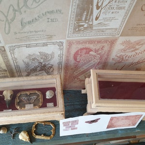 DIY Miniature Cabinet of Curiosities KIT - Oddities Museum Collection ...
