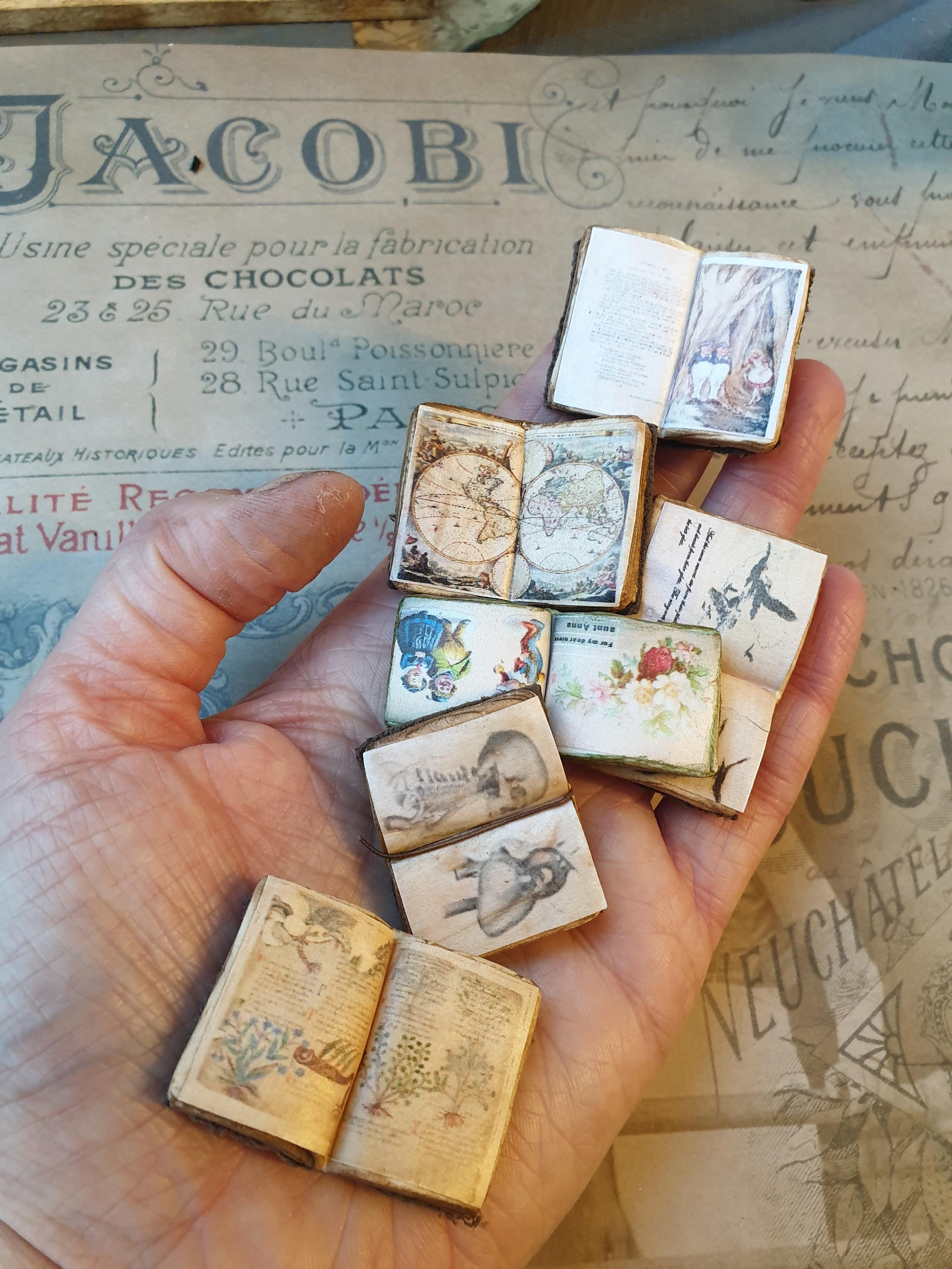 1 Miniature Open Book for Dollhouse Botanical Herbs Book | Etsy