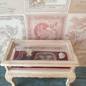 DIY Miniature Cabinet of Curiosities KIT - Oddities Museum Collection ...
