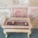 DIY Miniature Cabinet of Curiosities KIT Oddities Museum Collection ...