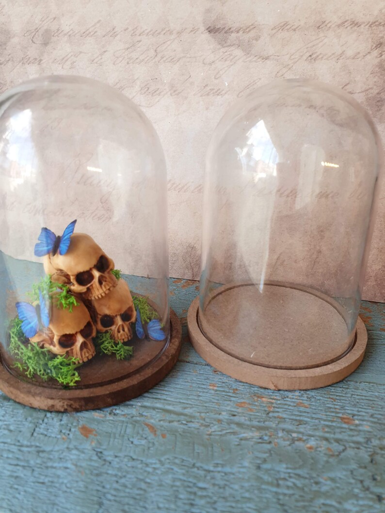 1 EMPTY BELL JAR Miniature Diorama Jar Clear Bell Jar Shadow | Etsy