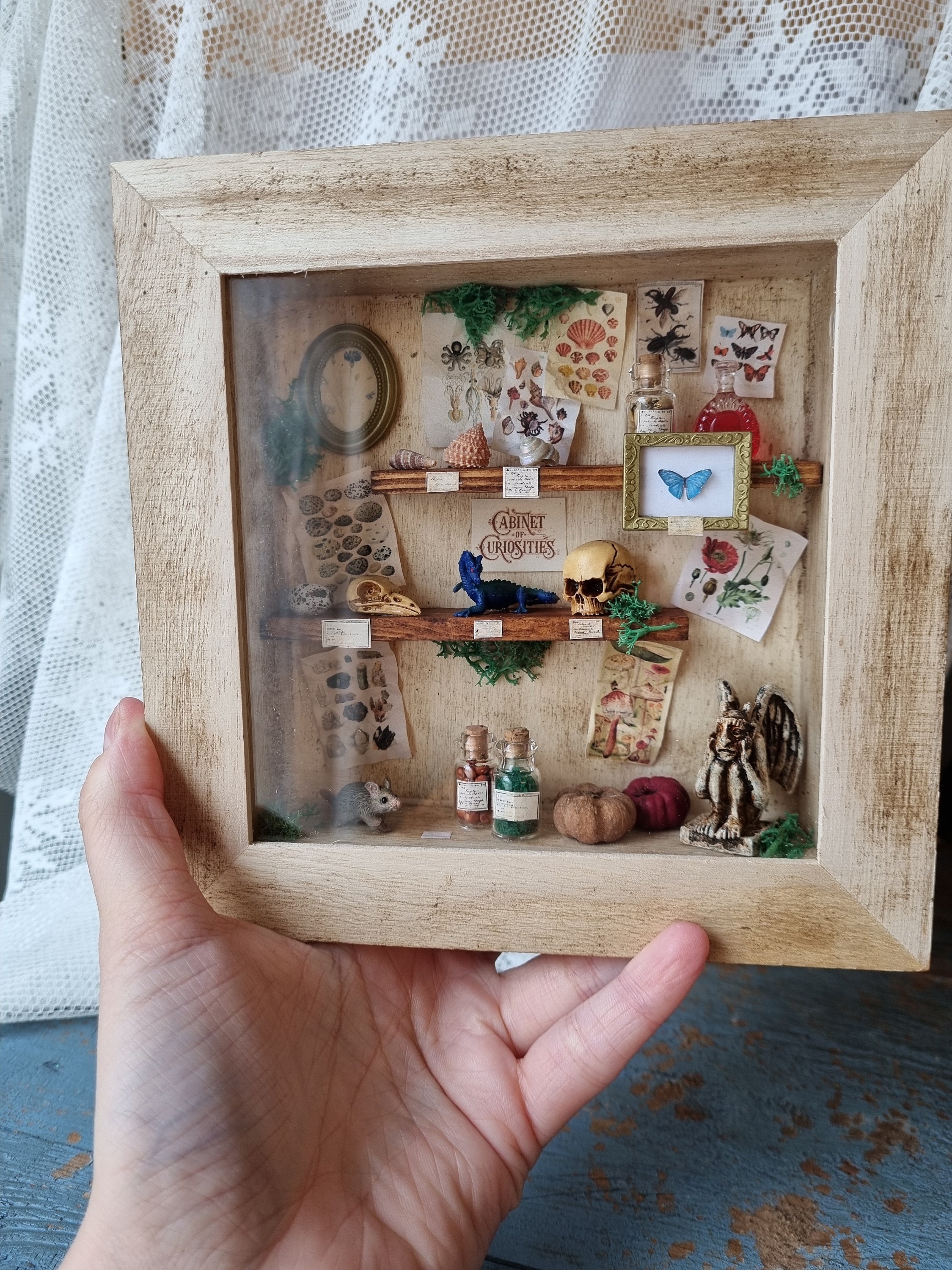 DIY Miniature Cabinet of Curiosities Box KIT Miniature - Etsy