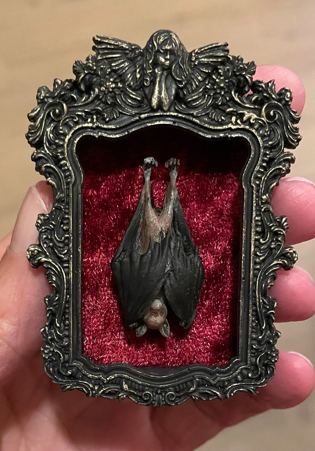 Bat in Frame Miniature Collection Museum Oddities Curiosities Framed ...