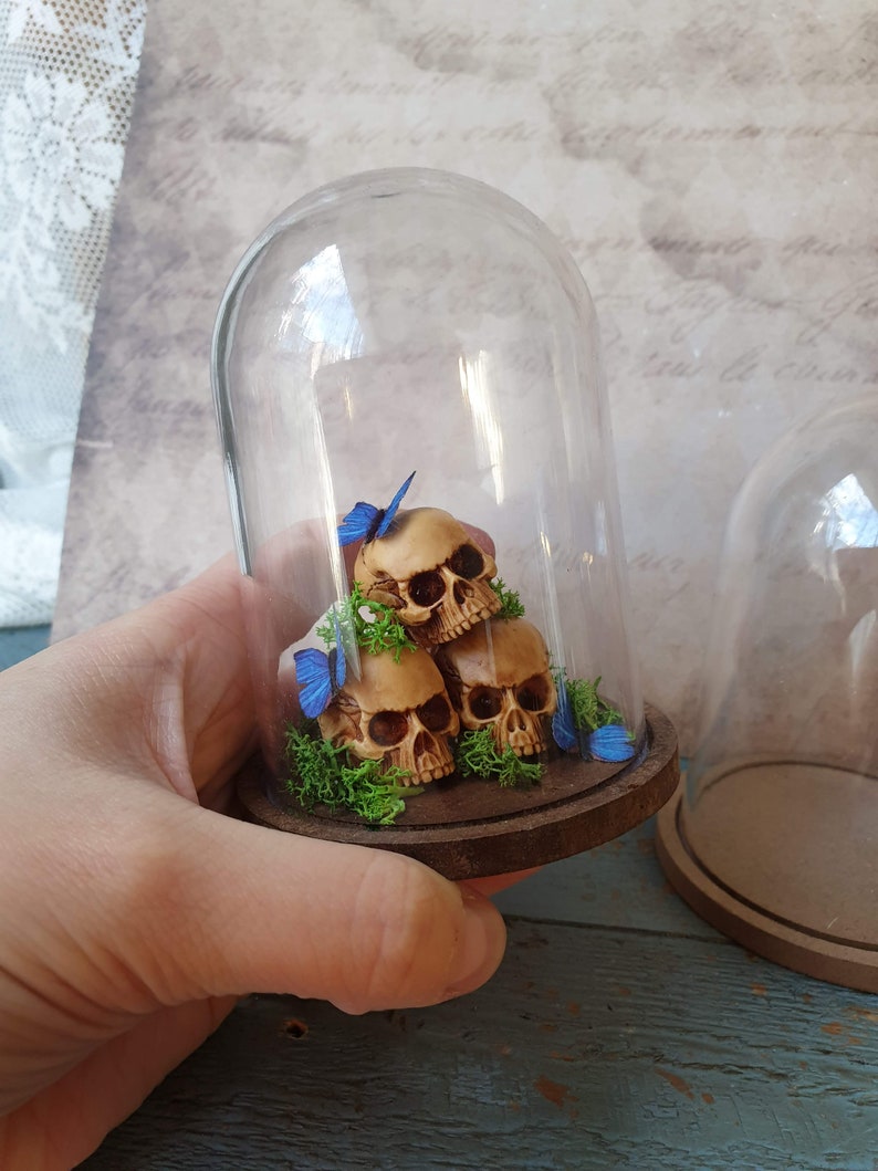 1 EMPTY BELL JAR Miniature Diorama Jar Clear Bell Jar Shadow | Etsy